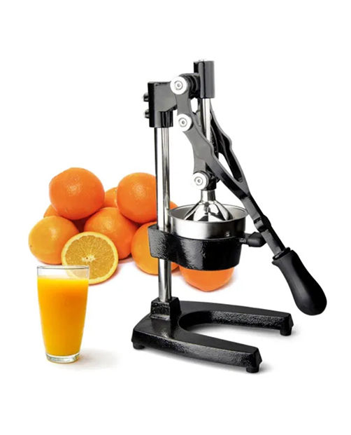 Automatic Meat Slicer, Automatic Meat Mincer Manufacturer - HORUS